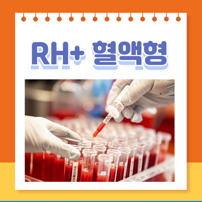 rh+ rh-혈액형 차이 임신시 영향은?
