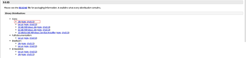 Tomcat 설치 및 STS Tomcat 연동