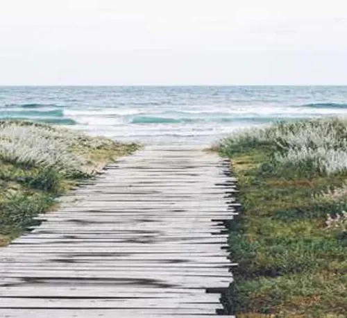 SCHD ETF 배당금 수익률과 투자 전략 - 세이빙 팁구루