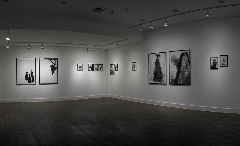 A shadowed garden by a light,《dim. Garden》