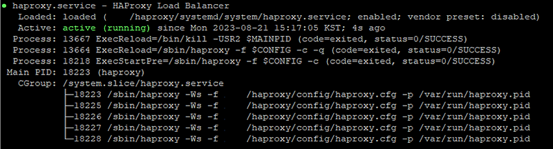 HAProxy nbproc 설정 적용