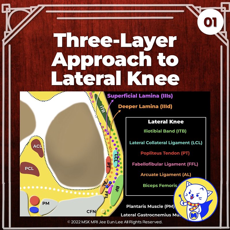 (Fig 3-B.01) Three-Layer Approach to Lateral Knee