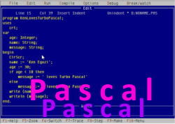 [pascal] in 연산자의 "Constant expression violates subrange bounds" 오류