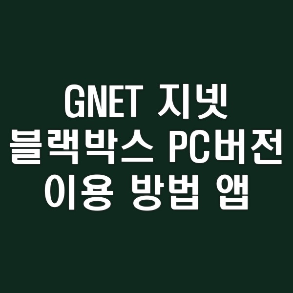 GNET 지넷 블랙박스 PC버전 이용 방법 | 앱 설치하기