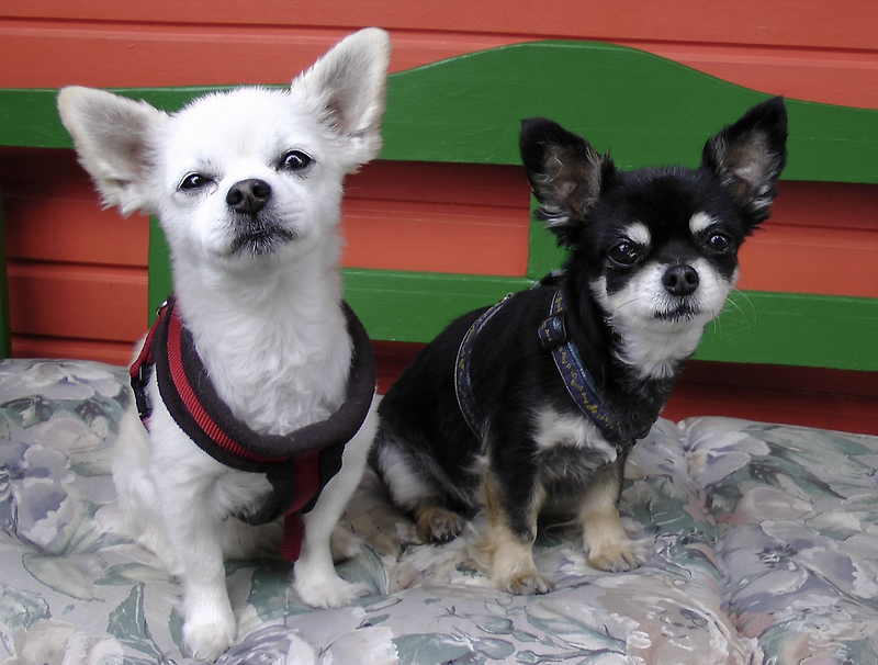 [JAVA] New Java Class 를 만들 때 public static void main[] args 에 체크해야 하는 ...