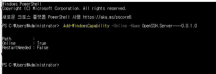 WIndow 환경에서 Open SSH 로 접속 및 AWS EC2 인스턴스와 연결하기(+ 번외: SCP 사용해서 EC2 인스턴스로 파일 전송하기)