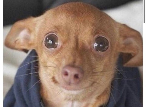 한화시스템 BEYOND SW CAMP 15기 3주차 회고