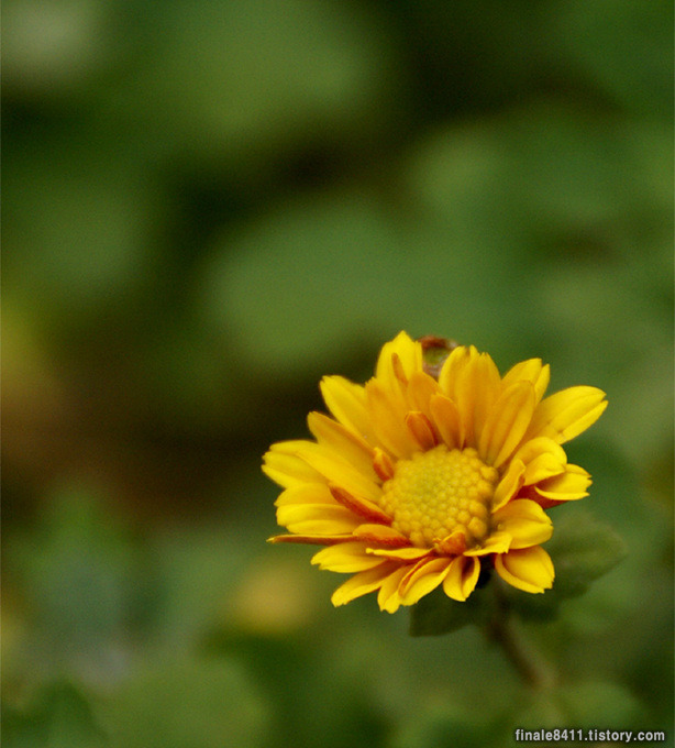 Thomas Otten(토마스 오튼)- Underdown Aperture(Nostalgia)