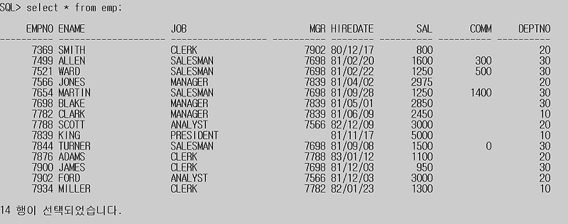 [oracle] index (Function-Based Index)
