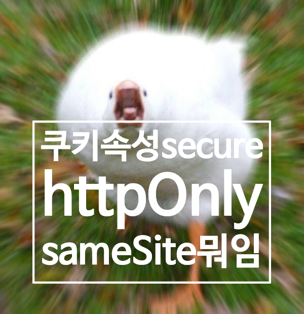 세션 쿠키 속성 Secure, SameSite, HttpOnly 뭐임 :: 개발새발