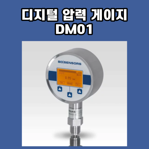 BD SENSOR 디지털 압력 게이지 DM01