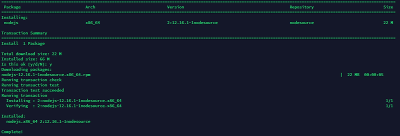 CentOS7 NPM 12.x 설치