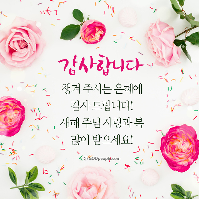 2023 계묘년 새해 이미지 설명절 인사말 카드 모음(갓피플)