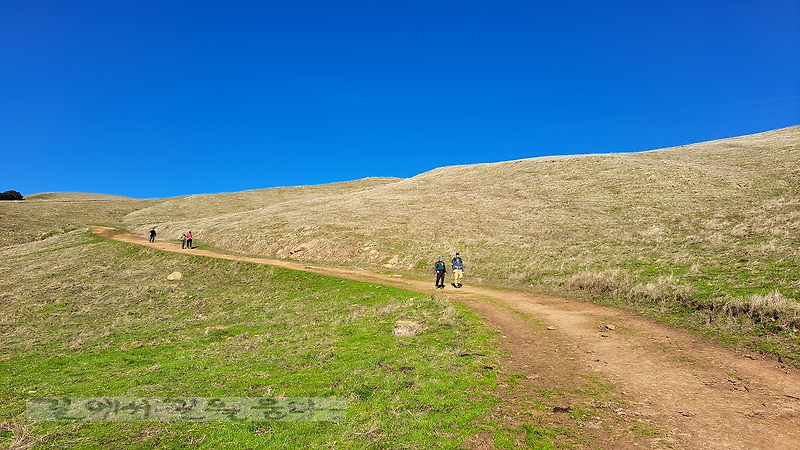 Tyler Ranch Trail(Sunol, CA)