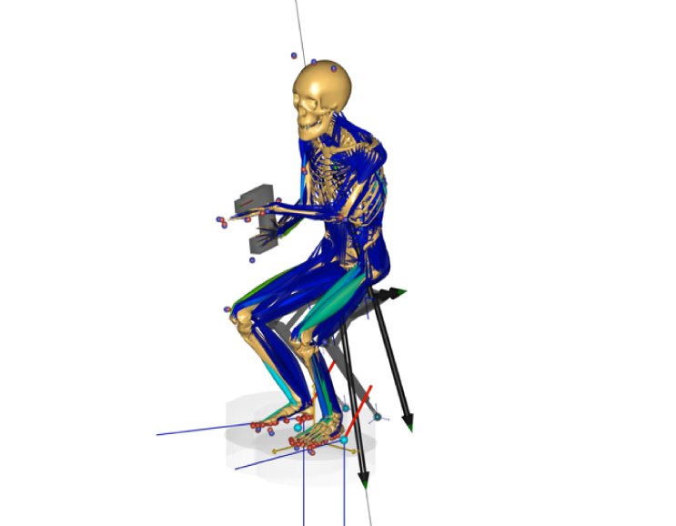 CMET Support Page::Chairless Exoskeleton Simulation