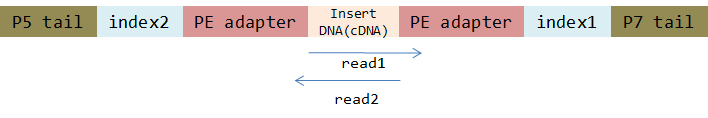 Trimming adapter sequence and low quality sequence :: 조바