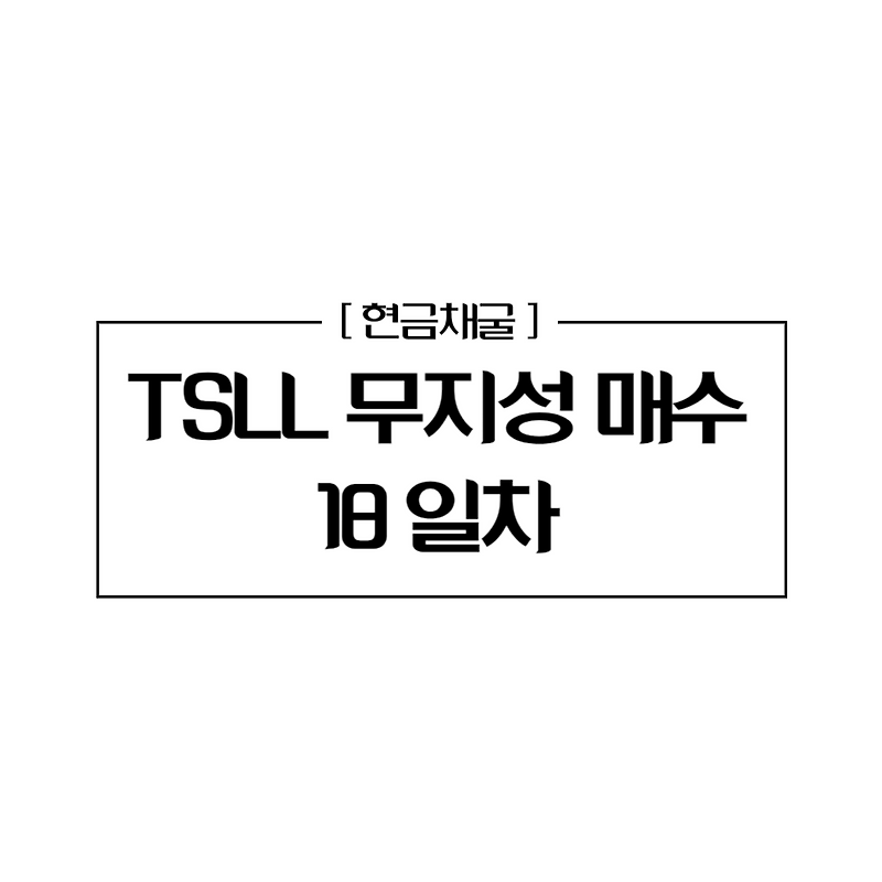 TSLL, 무지성매수 18일차