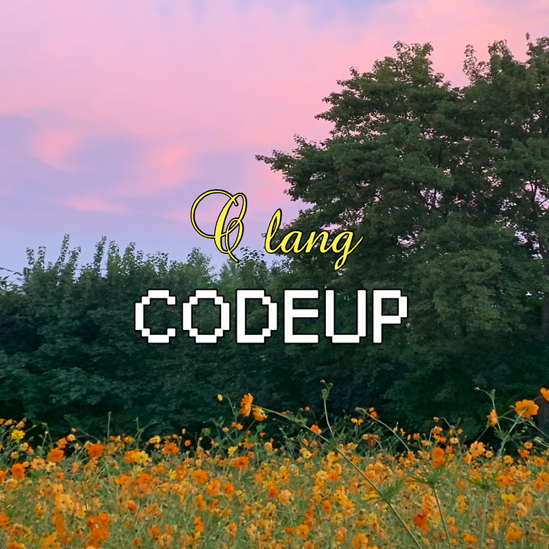 [Codeup] 1167 : 두 번째 수 (C언어)