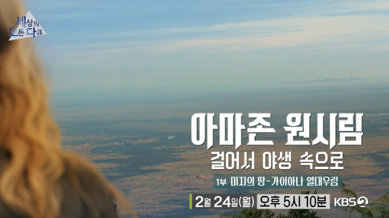 KBS2 세상의 모든 다큐 아마존 원시림 탐험 미지의 땅 가이아나 열대우림