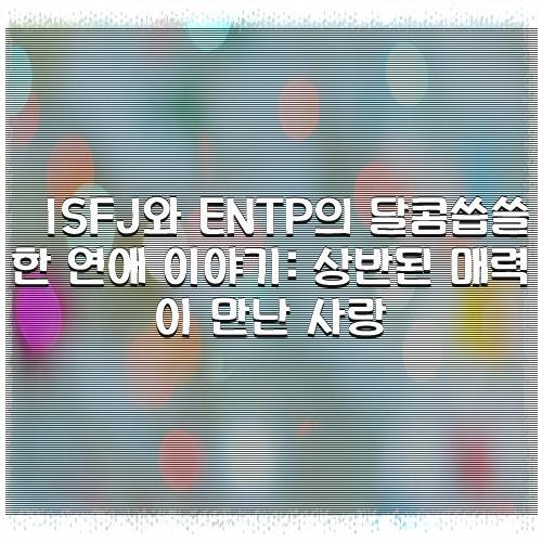 ISFJ와 ENTP의 달콤씁쓸한 연애 이야기: 상반된 매력이 만난 사랑
