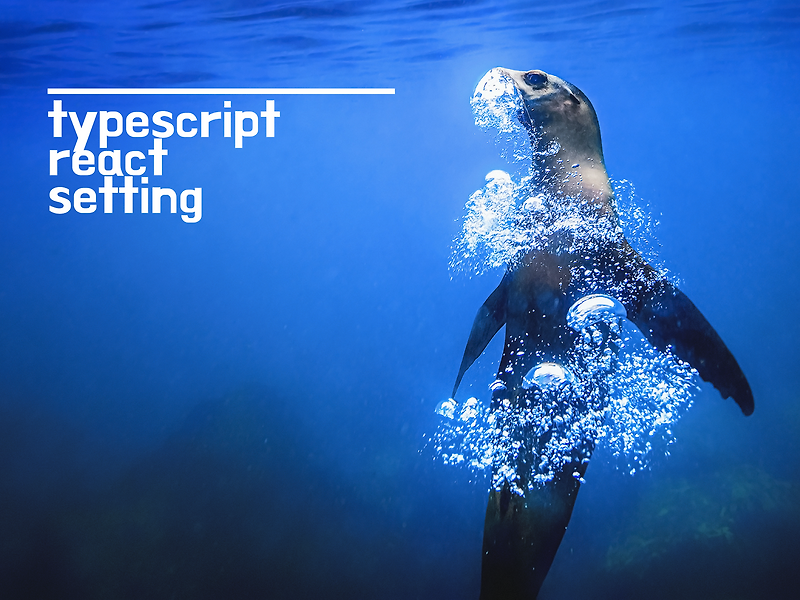 React / React + Typescript / 초기 프로젝트 세팅