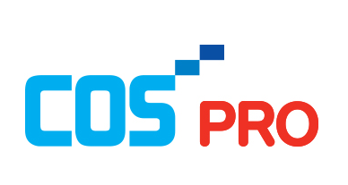 [COS Pro] 1급 체험 C++ (벡터 합, 최대/최소값)