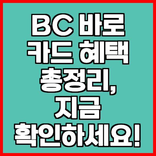 BC 바로 카드 혜택 총정리, 지금 확인하세요!