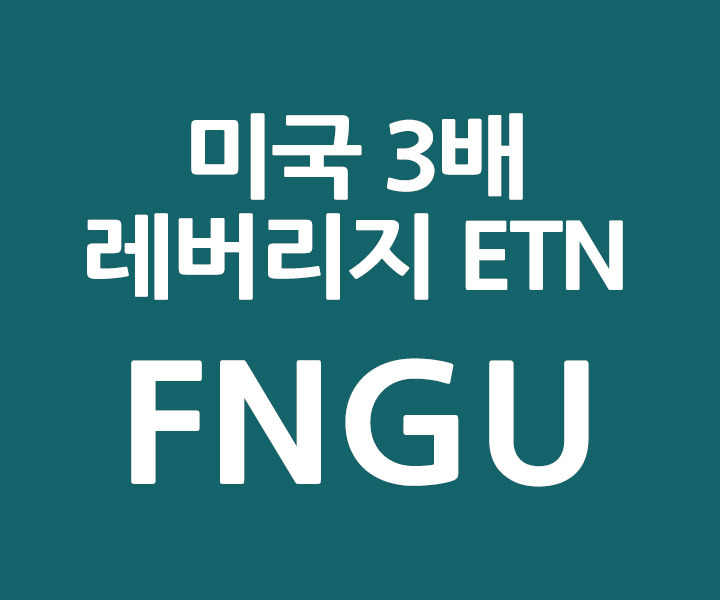 MicroSectors FANG+ Index 3X Leveraged ETN (FNGU) 미국 기술주 3배 레버리지