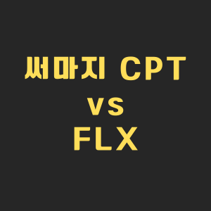 써마지 CPT vs FLX 차이점 (디시/더쿠 Ver)