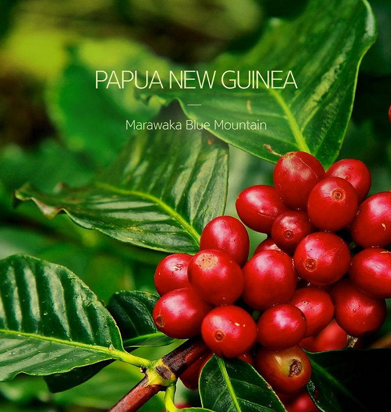 마라와카 블루 마운틴 (MARAWAKA BLUE MOUNTAIN)