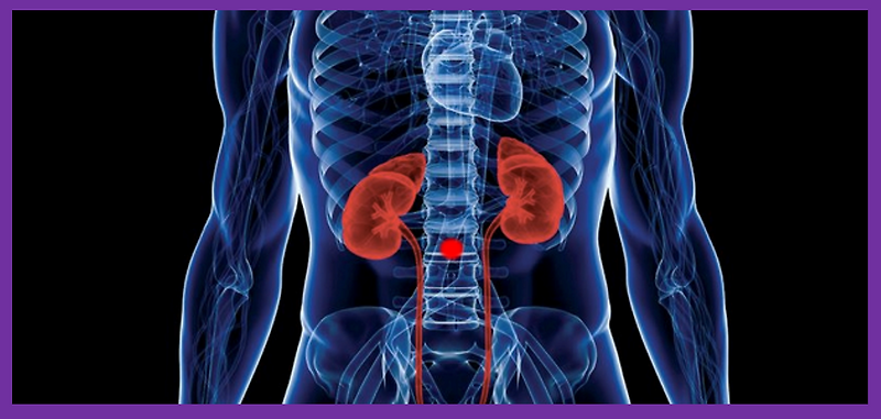 Dongui Bogam_27_The Frequency of Movements of Defense Qi