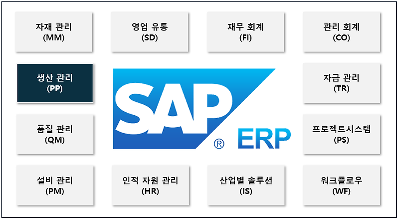 [ERP 모듈] SAP ERP - PP(Production Planning)