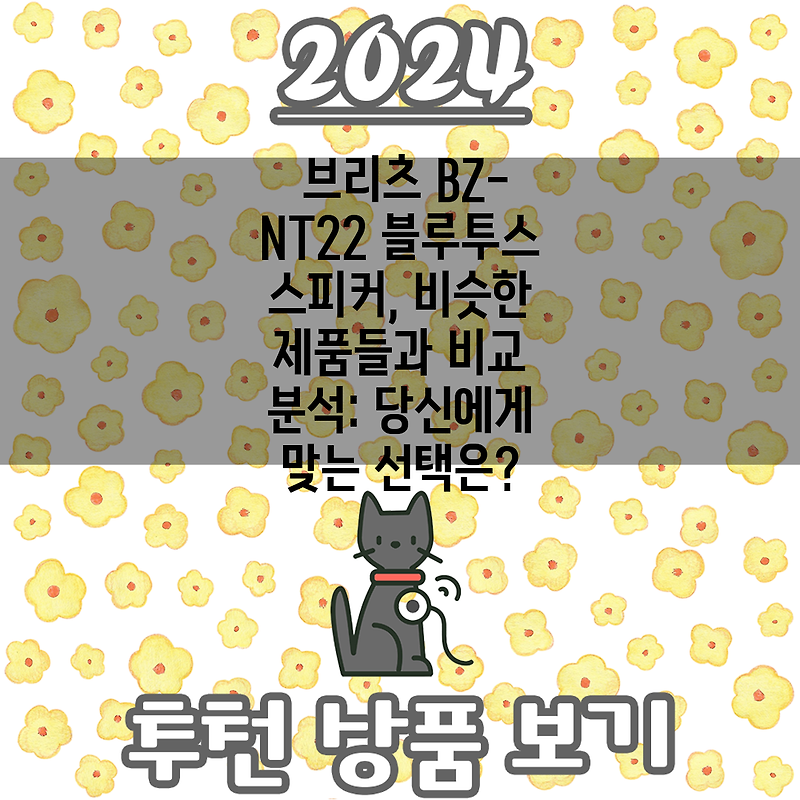브리츠 BZ-NT22 블루투스 스피커, 비슷한 제품들과 비교 분석: 당신에게 맞는 선택은?