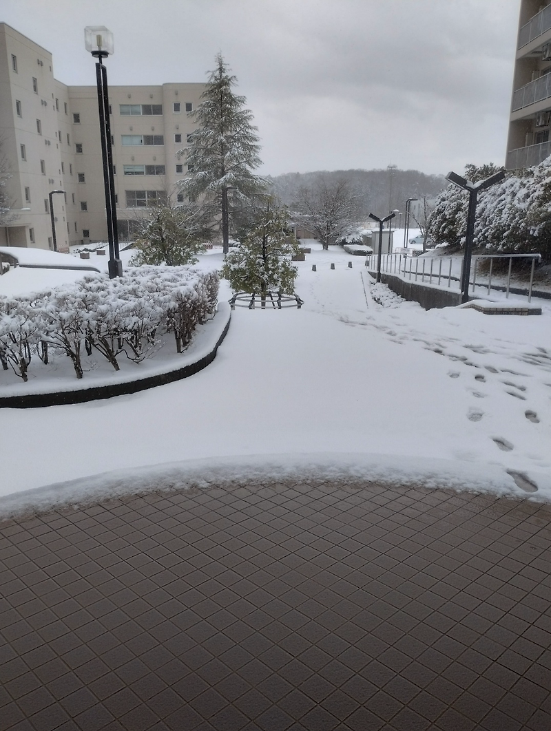 JAIST 생존일지(1/8) - 쉬었어유