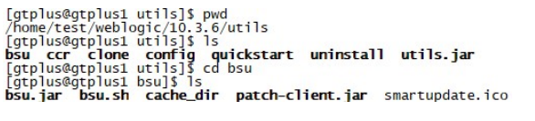 Weblogic 11g patch 가이드 :: Hit the Key