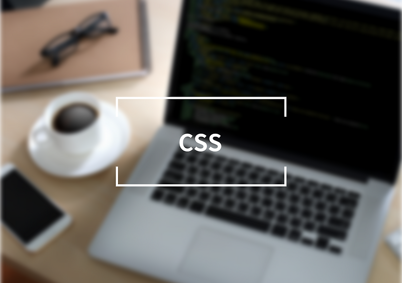 CSS — 개발하는 펭귄