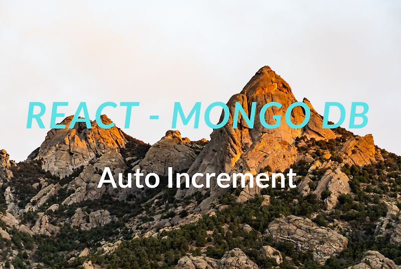 Mongo DB] Auto Increment, 컬럼에 자동으로 증가값 부여하기