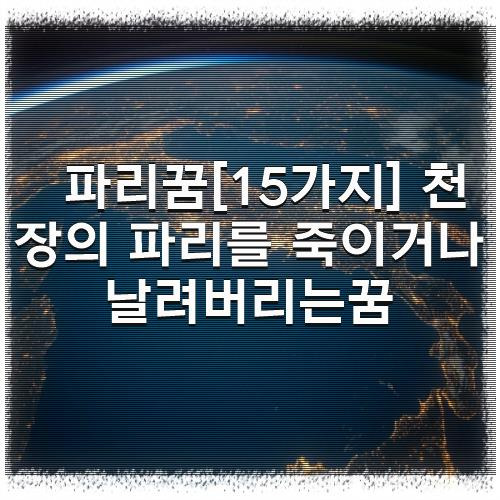 파리꿈[15가지] 천장의 파리를 죽이거나 날려버리는꿈