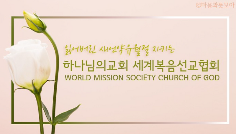 성경에 기록된 하늘에서 내려온 만나의 실체? / 하나님의교회 :: Als