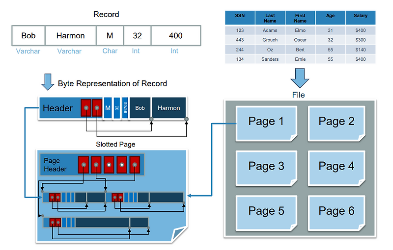 [DBMS] Data Representations: Files, Pages,Records :: 곰곰의 일지