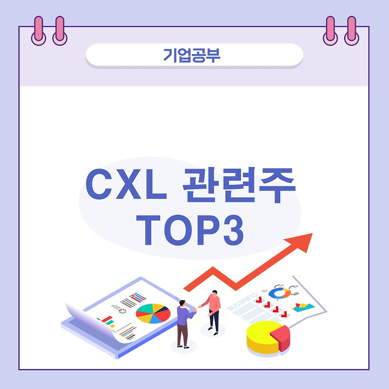 CXL관련주 대장주 TOP3 총정리!