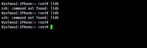 [iOS] iOS Zsh에서 단축어 alias 사용하기