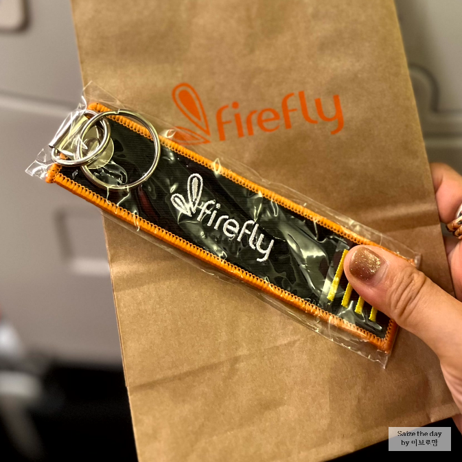 항공후기)Firefly airline SIN-PEN(FY3665) 싱가폴-페낭 파이어플라이항공 탑승기