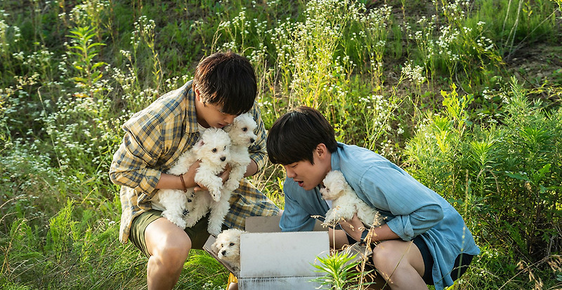 미스터 반이 추천하는 2023년 3월 개봉영화