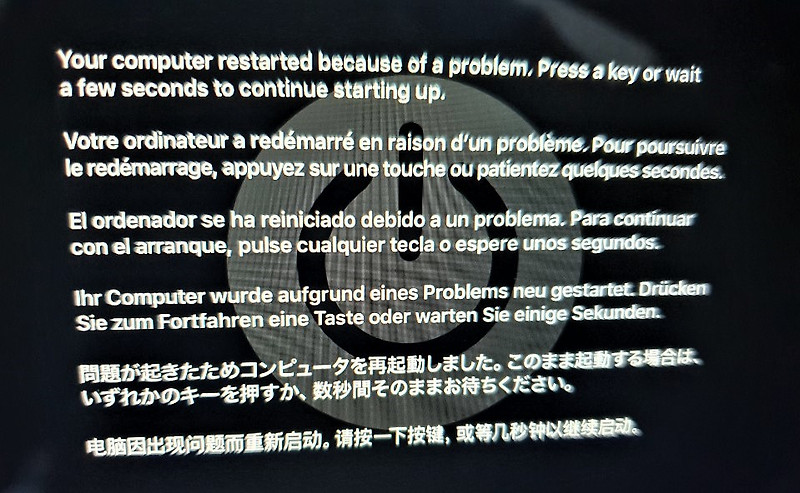 [MacBook Error] How to Fix "Your computer restarted because of a problem"