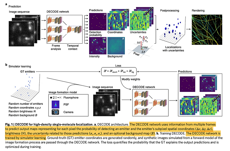 [DECODE] Speiser, Artur, et al., 2021, Deep learning enables fast and dense single-molecule ...