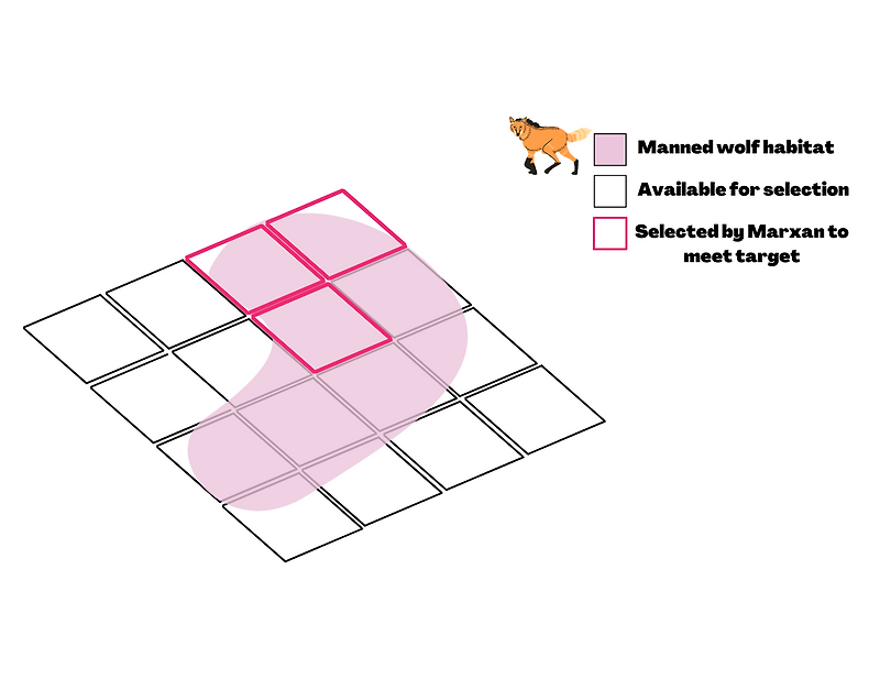 Conservation Solutions with Marxan #7 : Targets and target setting