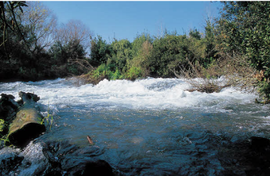 What is the 'Jordan region' that Lot looked up to? What is Zoar ...