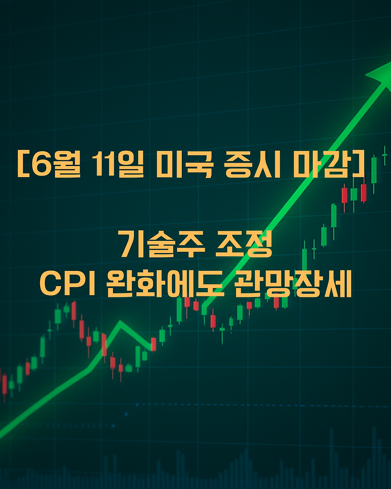 [6월 11일 미국 증시 마감] 기술주 조정…CPI 완화에도 관망장세