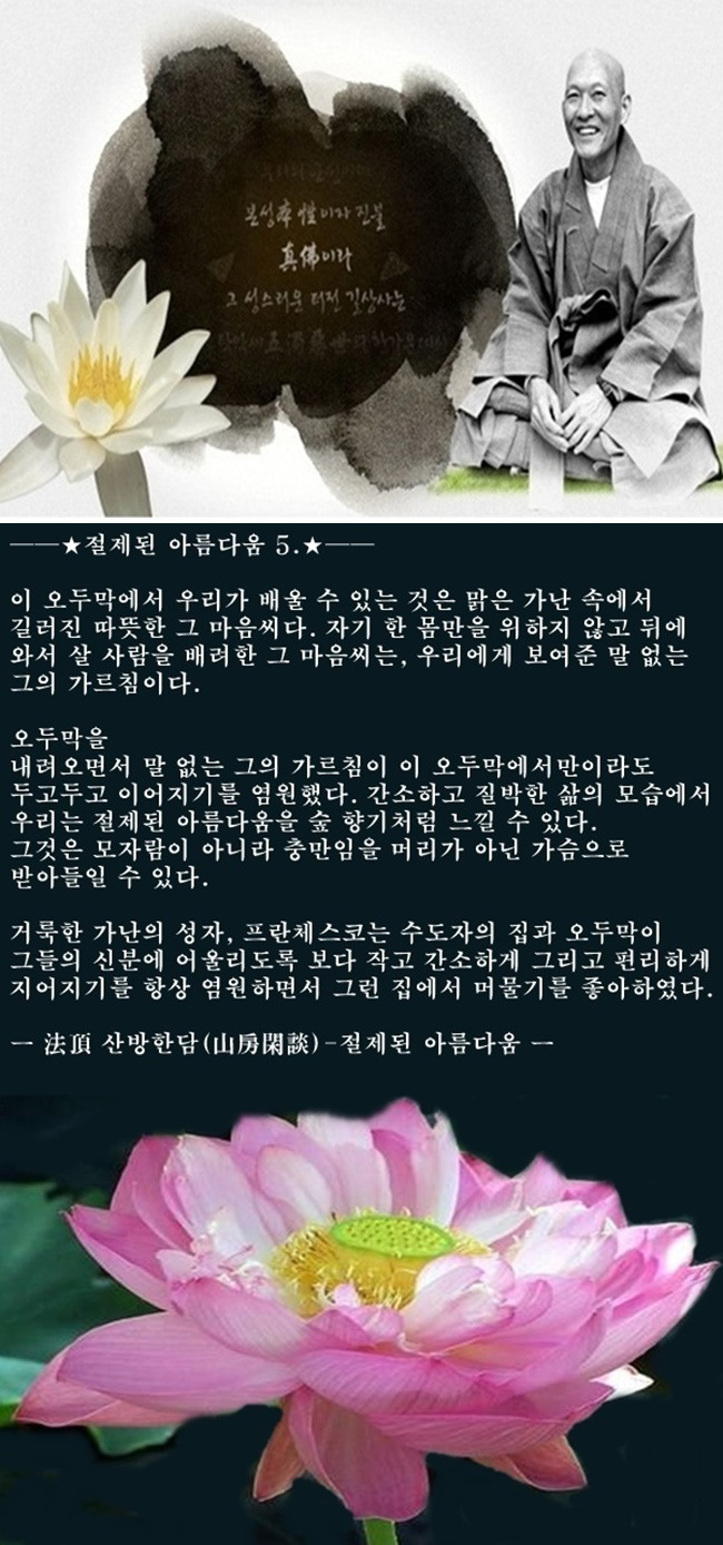 절제된 아름다움 5.